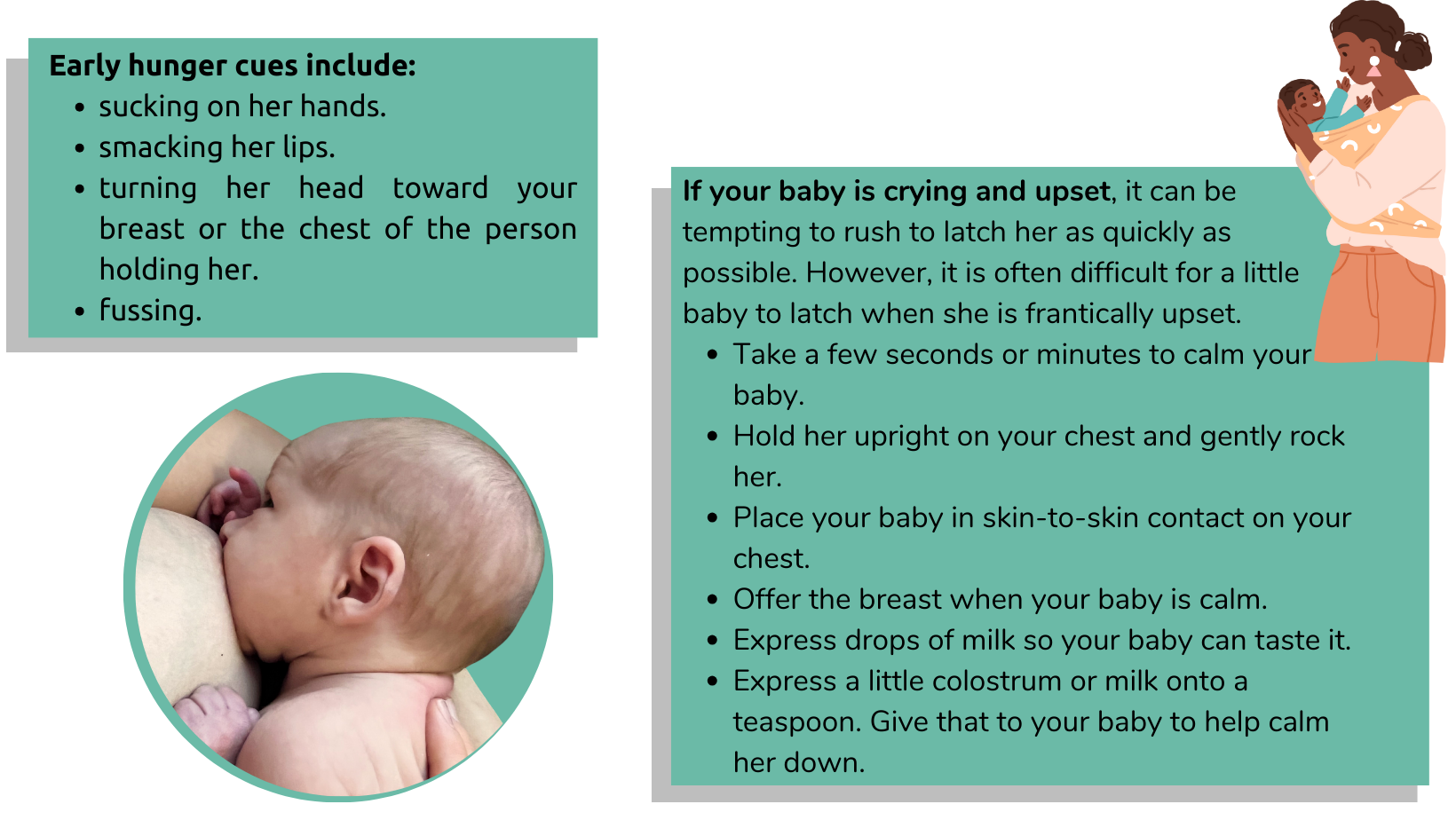 Positioning and Latching | La Leche League Canada - Breastfeeding Support and Information